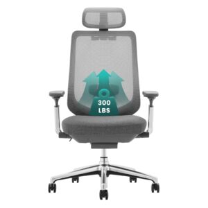 ergonomic mesh office chair, high back computer executive desk chair with adjustable headrest and 4d arms, slide seat, tilt lock-dark grey