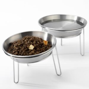 elevated cat bowls stainless steel, 5.9 inch wide raised cat bowls with metal stand whisker friendly, 2 pack anit-vomiting tilted cat food and water bowl set for cats, kittens and small dogs