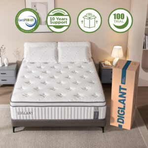 Queen Mattress, DIGLANT 14Inch Cooling Gel Memory Foam Hybrid Mattress with Pocket Springs, Supportive & Pressure Relief, Medium Plush Feel Queen Size Mattress in a Box, CertiPUR-US Certified, 60"*80"