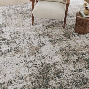 PureCozy Modern Abstract Taupe Rug 5x7 Machine Washable Living Room Area Rug Kitchen Brown Indoor Accent Rug Low Pile Carpet Distressed Throw Rug Bedroom Office Dining Room Laundry Room Non Slip