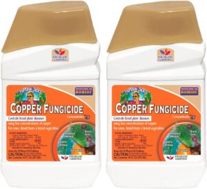 bonide captain jack copper fungicide 16 oz concentrated plant disease control solution for organic gardening (pack of 2)