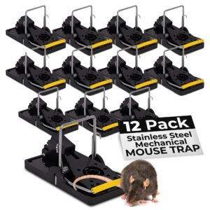 twintech stainless steel mechanical mouse traps - 4"x2"x2.5" reusable snap traps for mice - safe traps with finger protection for indoor outdoor use - 12-pack