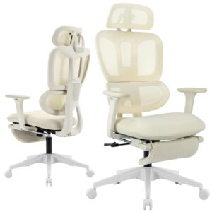 ergonomic office chair with footrest, high back computer office chair with dynamic lumbar support, 2d headrest, 2d armrest, sponge seat, mesh home office desk chair for adults, cream