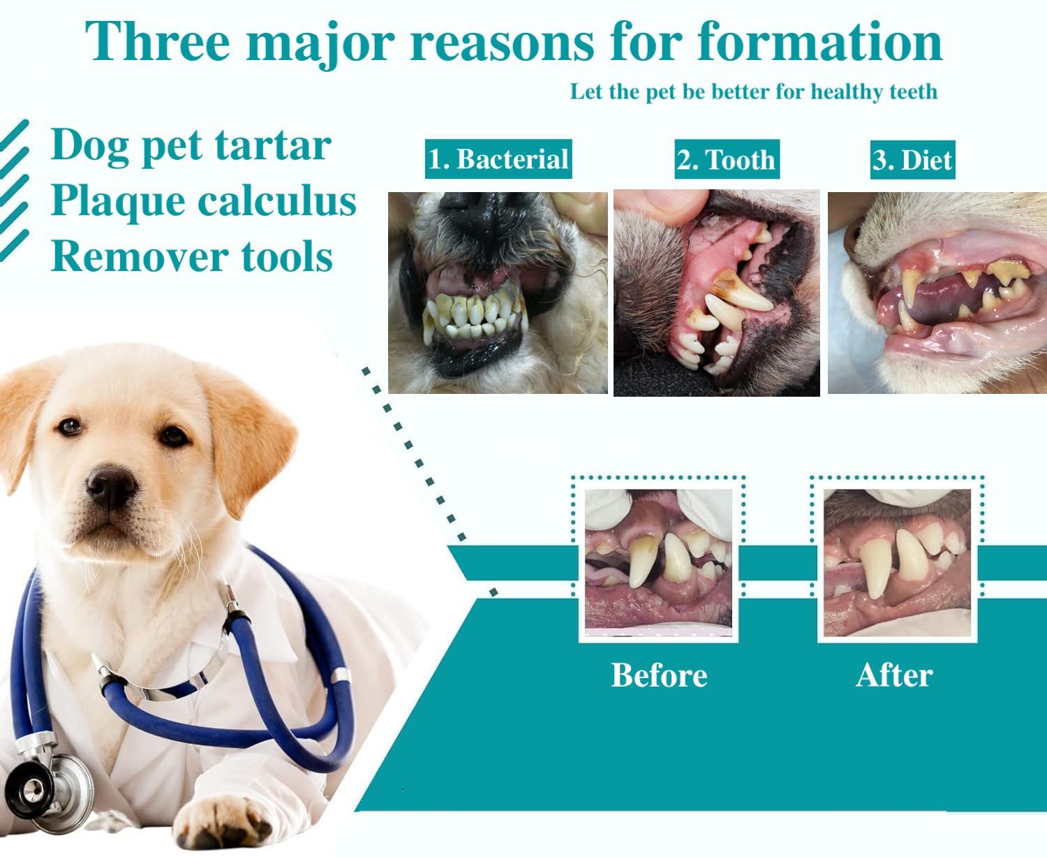 Qubccum 8 Pcs Dog Tartar Remover Pet Teeth Cleaning Tool, Cat Plaque Off Calculus Remover, Dog Tooth Scaler and Scraper, Stainless Steel Dental Forceps for Dogs and Cats Oral Care