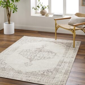 livabliss x our pnw home olympic updated traditional area rug, 9'2" x 12', off-white