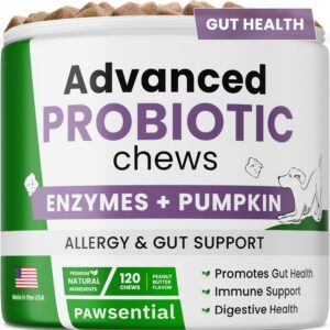 pawsential advanced dog probiotics & digestive enzymes |gut health| chews for digestion, allergy yeast, itchy skin- prebiotics fiber supplement - diarrhea gas upset stomach relief treats - 120 chews