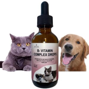 liquid vitamin b-12 complex drops for dogs and cats - nutritionally balanced vet formulated - energy, appetite, mood - recovery - helps cognition and brain, joints, skin, digestion