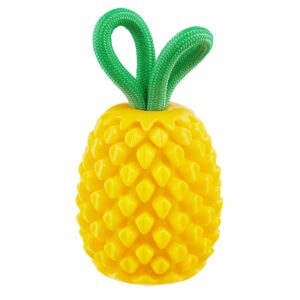 outward hound by planet dog dental pineapple dental chew toy and interactive treat stuffer durable dog toy stuffable dog toy, yellow