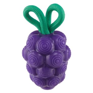 outward hound by planet dog dental grapes dental chew toy and interactive treat stuffer durable dog toy stuffable dog toy, medium, purple