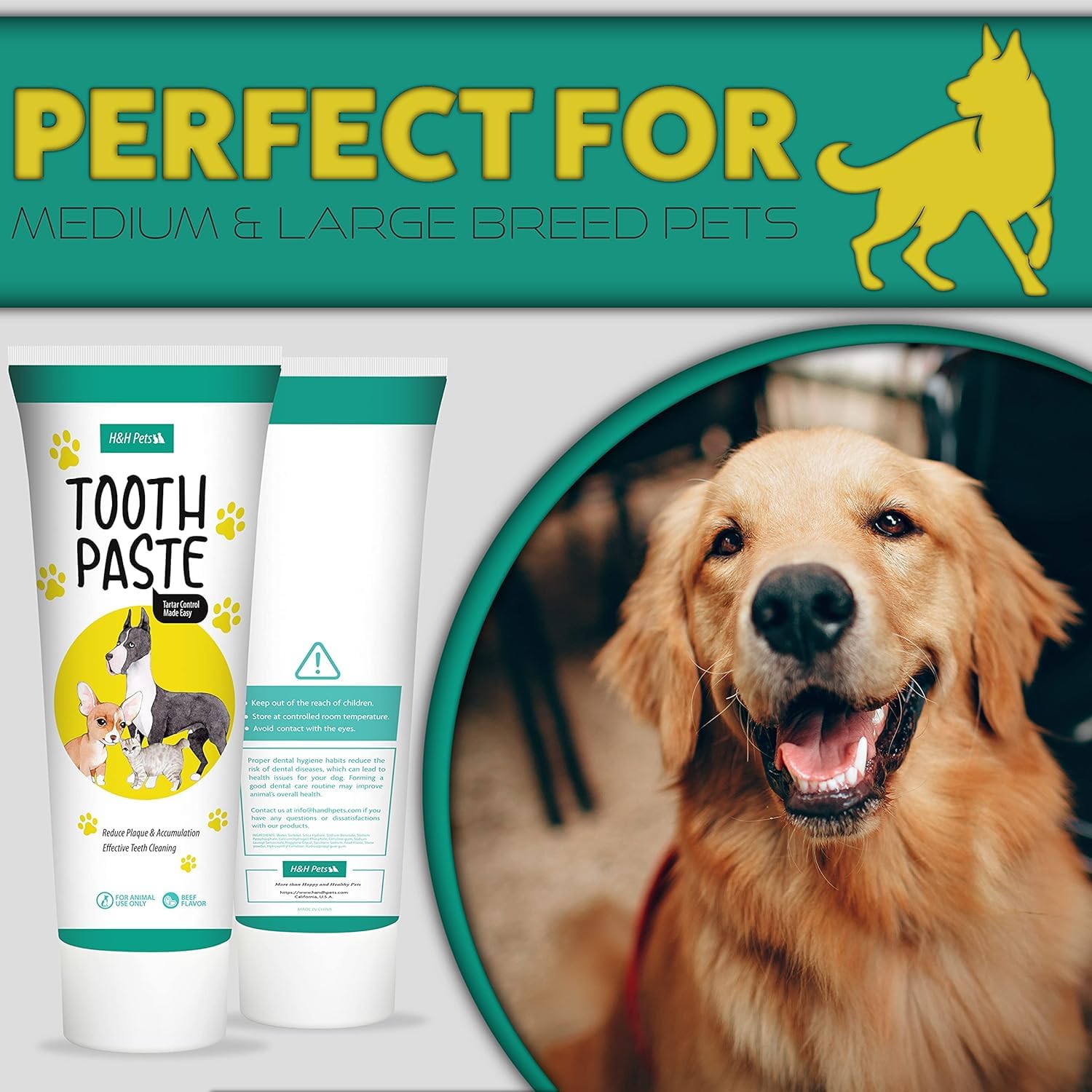 H&H Pets Dog Toothbrushes and Toothpaste Best Professional Cat & Dog Finger Tooth Brush, Dog Brush Set, Perfect for Dogs and Cats, Dog Supplies - Size Small 1 Count 3.5 Oz Toothpaste (100g)