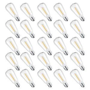 25 packs st38 led edison bulbs,0.6watt e12 base small vintage light bulbs equivalent to 7w incandescant, 2700k warm white bulbs for st38 string lights, shatterproof waterproof dimmable, not for solar