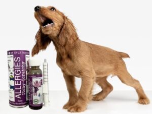 healthy paws herbal labs itchy scratchy allergy relief for dogs & cats - 2oz liquid food topper