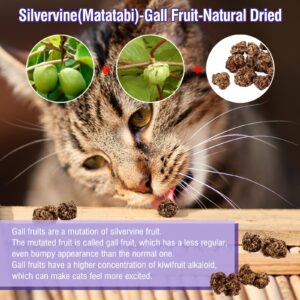 HavenJanny 20pcs Dried Silvervine Gall Fruit, Natural Silver Vine Cat Chew Toy, Matatabi Cat Toy for Dental Cleaning Hard chew Cheer up