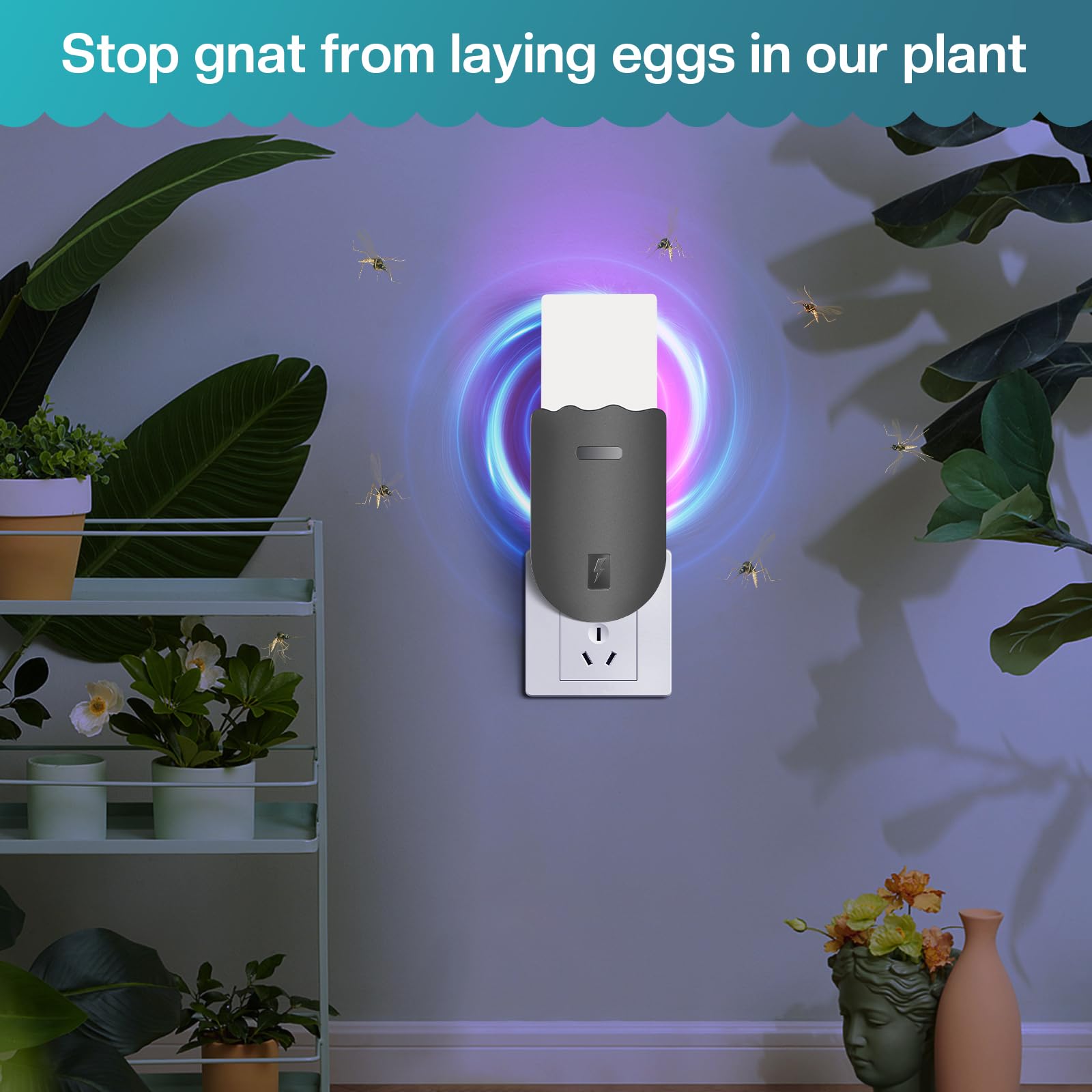 Fly Traps Indoor, Fruit Gnat Fly Traps for House, Two Light Modes, No Odor, Gnat Catcher Control for Indoor Plants, 1 Plug in Device + 5 Fly Traps Refills