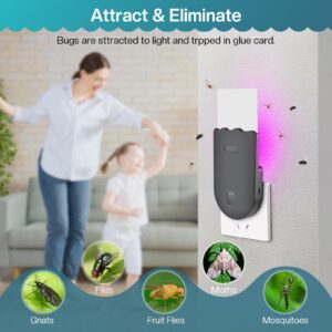 Fly Traps Indoor, Fruit Gnat Fly Traps for House, Two Light Modes, No Odor, Gnat Catcher Control for Indoor Plants, 1 Plug in Device + 5 Fly Traps Refills