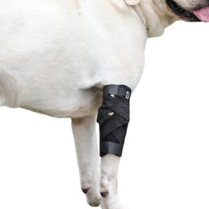 (s/m) dog leg brace for back leg, canine hock brace for rear legs with dual metal strips, joint warps strong support help for hind leg injuries sprains arthritis torn acl(1pair)