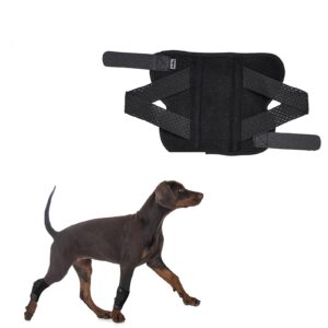 (s/m) dog front and rear leg brace, pair of dog leg brace with metal strips, canine front leg hock wrap sleeve for carpal support, protects wounds brace heals and prevents injuries and sprains