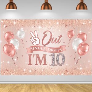 holkcog rose gold happy 10th birthday party banner backdrop for 10-year-old girls double digits birthday girl "i'm 10" bday banner rose gold 10th birthday photo background 10th party decorations supply