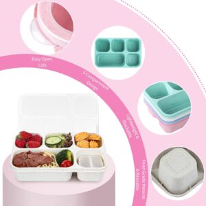 Lunbxx Snack Box Containers for Adults，4 Pack Bento Lunch Box for Adult & Kids, 5 Compartment Adult Lunchable Containers with Utensils, Sauce Jar, 44 Oz/1300ML Large Size (Wheat)