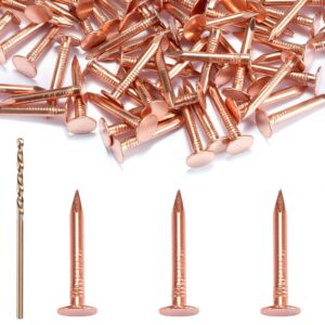 copper roofing nail set - 60 pcs 1-inch copper nails & 1/16 inch drill bit, c11000 99.95% pure copper nails for roof repair,roof flashing, tree maintenance, stump removal, and diy project