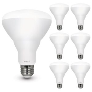 feit electric br30 led light bulbs, 100w equivalent, dimmable, e26 standard base, 80 cri, 1400 lumens, 5000k daylight, 120v, 10 years lifetime, damp rated, 6 pack, 100br30dm85010kled/6