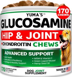 glucosamine for dogs - hip and joint supplement for dogs - 170 ct - glucosamine chondroitin for dogs chews - dog joint pain relief with msm - advanced dog joint supplement health - mobility support