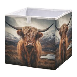 haskirky highland cow foldable collapsible storage box bins,11x11x11 inch cubes baskets fabric storage bins with handles for shelves nursery closet home decor