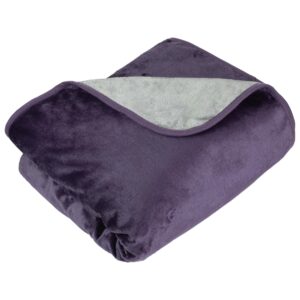 lavish home waterproof blanket - 80x80 king-size blanket for kids, pets, and outdoors - throw blanket for bed, couch, chair and car (purple)