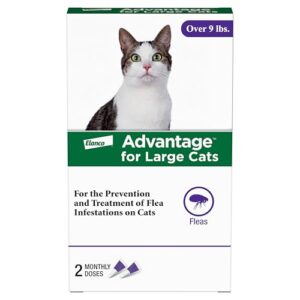 advantage topical cat flea treatment and prevention for large cats over 9 lbs. | apply flea drops monthly | 2 treatments