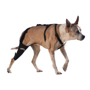 walkabout harnesses black knee brace for dogs treat acl, ccl injury, arthritis, joint pain, fatigue and stress with the walkabout knee brace (ml right)