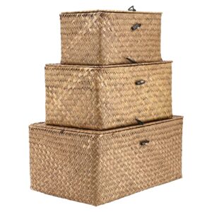 lexinin set of 3 seagrass shelf baskets with lids, handwoven seagrass storage bins basket, rectangular woven baskets storage box container for shelves, home decoration