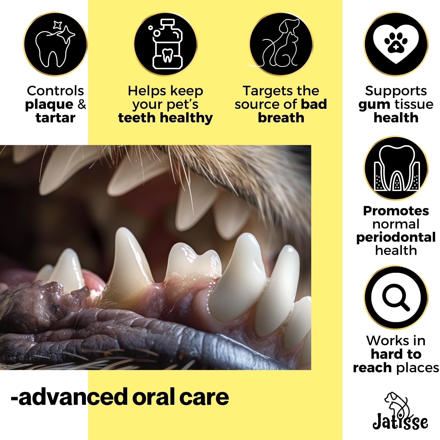 JATISSE Enzymatic Pet Toothpaste | Dog Tooth Brushing Kit | Cat & Dog Dental Care | Controls Plaque, Tartar, & Bad Breath 3.38 fl.oz