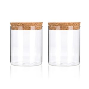 dnienkge airtight glass storage containers with cork lid, for kitchen pantry organization and storage jar，ideal for coffee beans snacks flour cereal sugar tea 16oz. (circular 3.9 * 3.3in*2pcs)