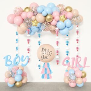 ouddy party gender reveal decorations, pastel pink and blue nude confetti balloons arch kit star hanging cloud garland paper tassels he or she boy or girl gender reveal baby shower party supplies