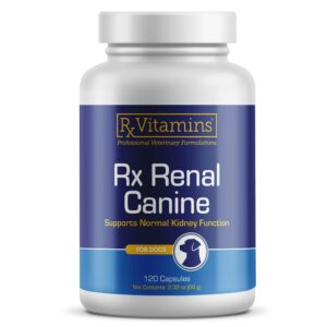 rx vitamins rx renal canine kidney support for dogs - milk thistle extract, green tea, & cordyceps capsules for dogs - dog kidney support supplement - 120 ct