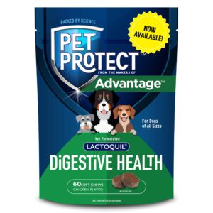 pet protect from the makers of advantage vet-formulated dog digestive health supplement | 60 chews