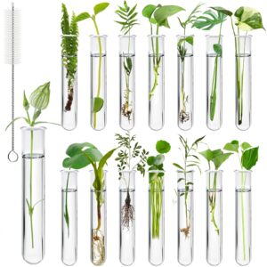 worldity 15 pcs clear test tubes for plant, 20 ml plant propagation tube with brush, plastic test tubes for hydroponic plants, flowers, home office wall decor (12 cm)