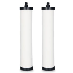 percola frc06 cartridge, compatible with frcnstr/frc06, frcnstr100/frc06 filter cartridge and franke still pure under-sink filtration system, 2 pack