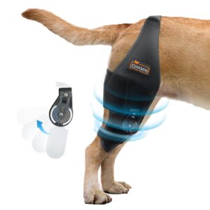 chamin/risurry dog knee brace with adjustable hinge stabilizer, dog acl knee brace support osteoarthritis, made with premium quality neoprene(right leg,xl)