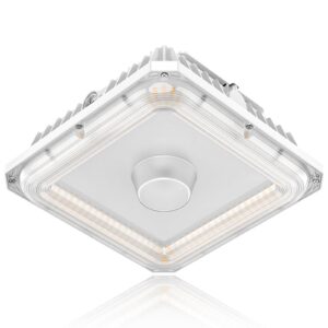 orrgena led canopy lights 100w/80w/60w adjustable, 5000k/4000k/3000k adjustable, ul&dlc listed square canopy lights 10" x 10, ip65 waterproof canopy light ac100-277v for gas station