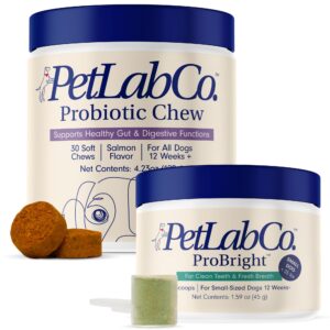 petlab co. – oral hygiene & gut health bundle: dental powder for an effortless clean in 1 scoop for small dogs & probiotics for dogs supporting gut health & seasonal allergies