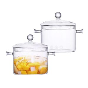 hyuetrsa 2 pcs glass saucepan with cover, 1.5 l/ 50 oz heat-resistant glass stovetop pot and pan with lid, clear simmer glass pot cookware set for pasta noodle, soup, milk