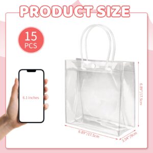 BadenBach 15 PCS Clear Gift Bags with Handles,6.89" x 6.89" x 3.54",Plastic Clear Gift Bags Clear Goodie Bags Clear Favor Small Tote Bags for Wedding Birthday Baby Shower Party Halloween Christmas