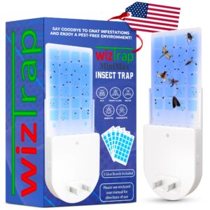 wiztrap minimax plug in fruit fly traps for indoors! a flying insect trap with uv led bulbs & 5 glue board refills! gnat trap used as a fruit fly killer, indoor fly trap, mosquito trap, gnat killer!