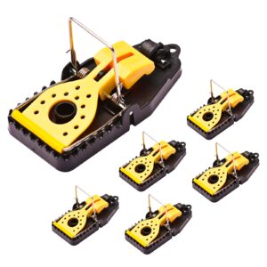 6 pack mouse traps, updated model mice trap indoor, reusable for house small mouse trap