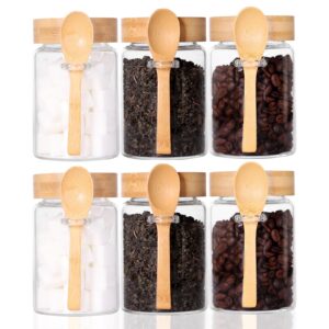 leaves and trees y 16 oz tea jars screw top for loose tea, set of 6 loose leaf tea container airtight, glass jars with screw on lids and spoons, overnight oats containers with lids