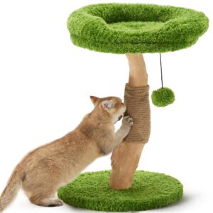 cat scratching post, 20" plant style kitten scratcher, fukumaru solid wood cat post with bed, small cat tower tree with natural jute rope for indoor kitten & cats