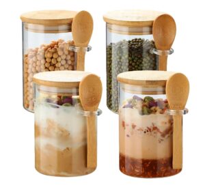 recceng 4 pack overnight oats glass containers with lids and spoons, 17 oz glass jars with spoons and lids for loose tea, meal prep jars with bamboo lids for chia pudding, yogurt