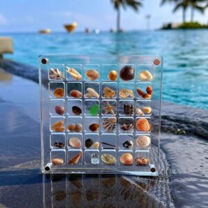 xronslute acrylic magnetic seashell display box,diy seashell display box,clear storage box for seashell,gemstones,nail,jewelry (1pc 36 grids small)