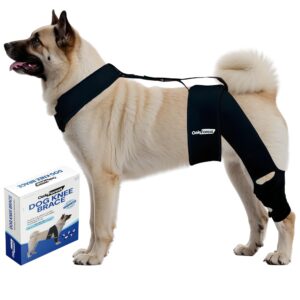 oak forest dog knee brace, collar & leash set | dog knee brace for torn acl hind leg & front leg | comprehensive support for optimal comfort & stability for all dogs | size: s m l (l)